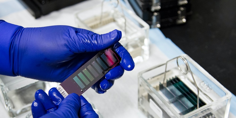 How Biotech Companies Are Pioneering Innovation in Healthcare ...